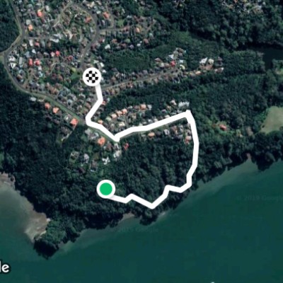 Kauri Point Centennial Park Walk - Auckland, Auckland Region, New ...