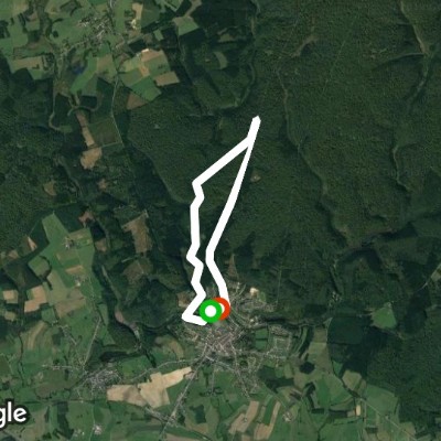 Forest of Anlier - Vlessart Walk Trail - Habay, Luxembourg, Belgium | Pacer