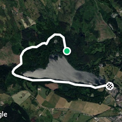 Castlewellan Forest Park Walk - Northern Ireland | Pacer